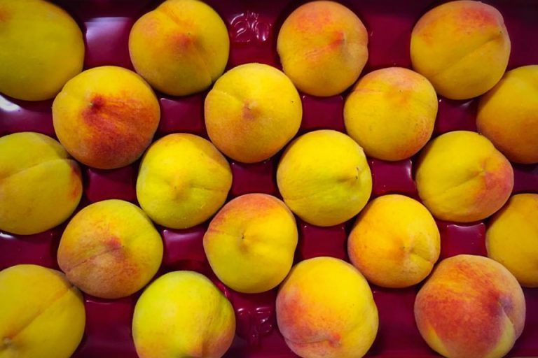 percoca peaches – The Grapevine