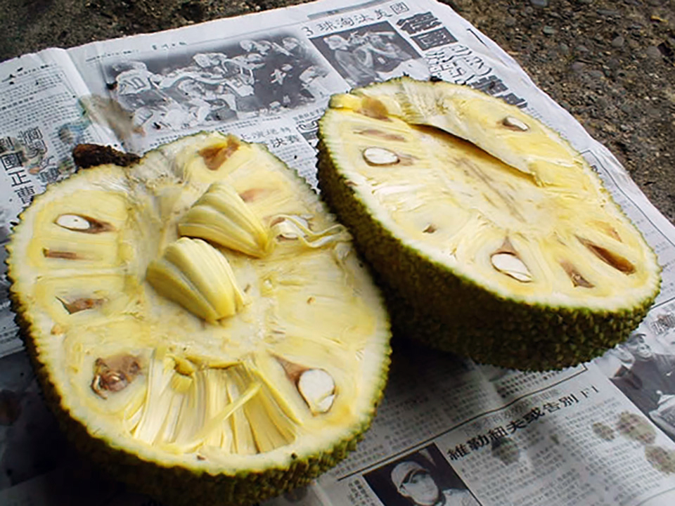 What Do You Know About Jackfruit? – The Grapevine