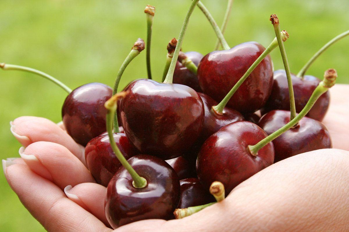 Super Cherries – The Grapevine